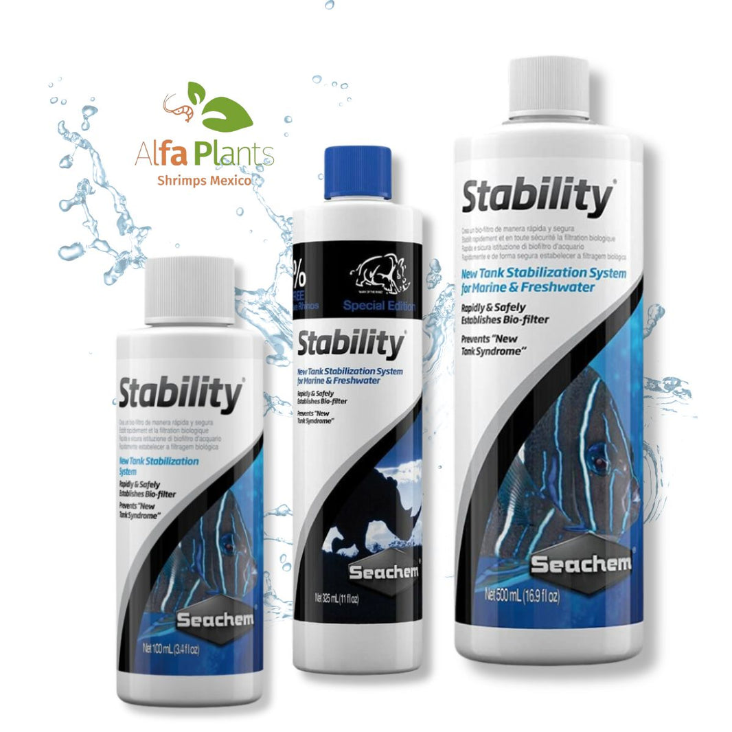 Bacterias nitrificantes – Alfa Plants Shrimps México