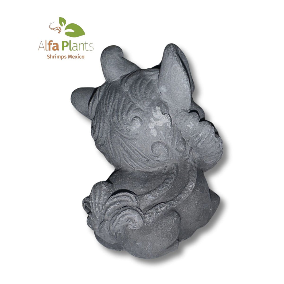 Perritos de piedra – Alfa Plants Shrimps México