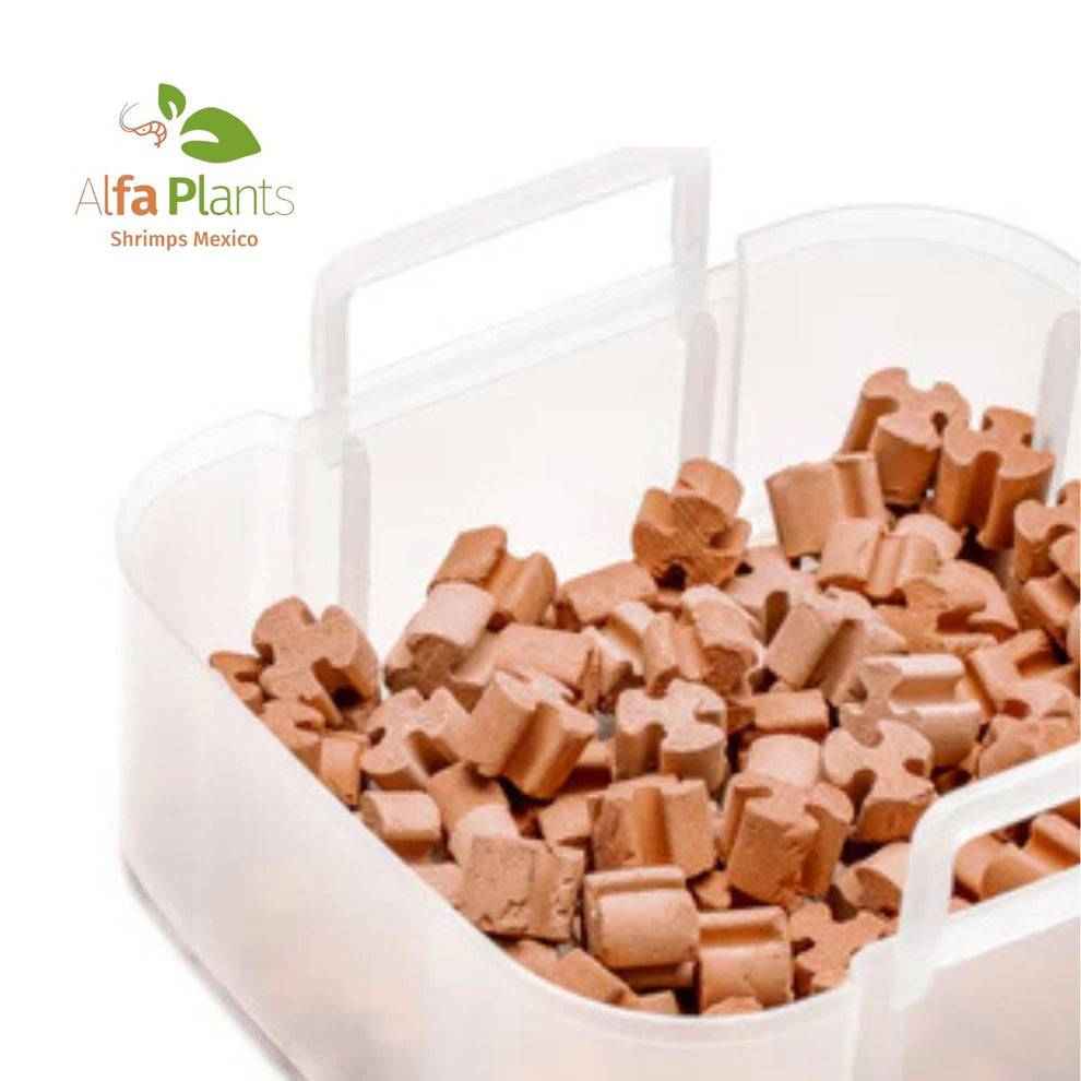 Delta Ultum Nature Systems – Alfa Plants Shrimps México