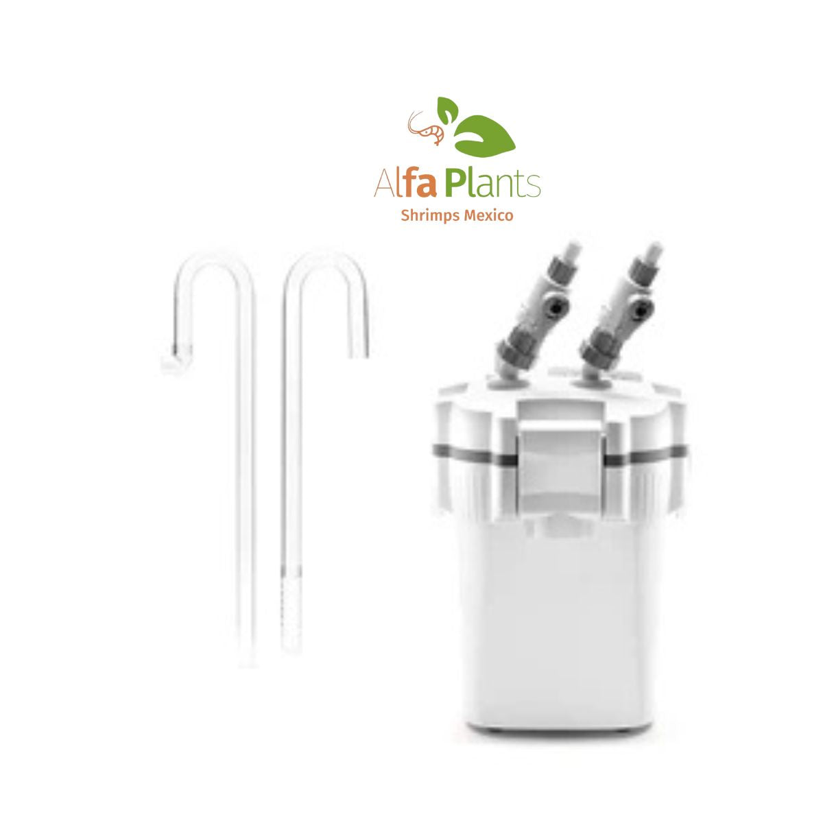 Delta Ultum Nature Systems – Alfa Plants Shrimps México