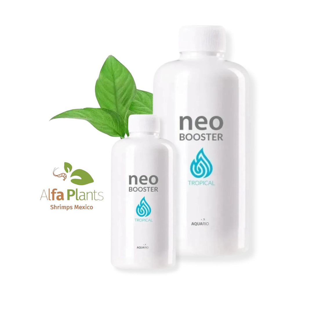 Aquario – Alfa Plants Shrimps México