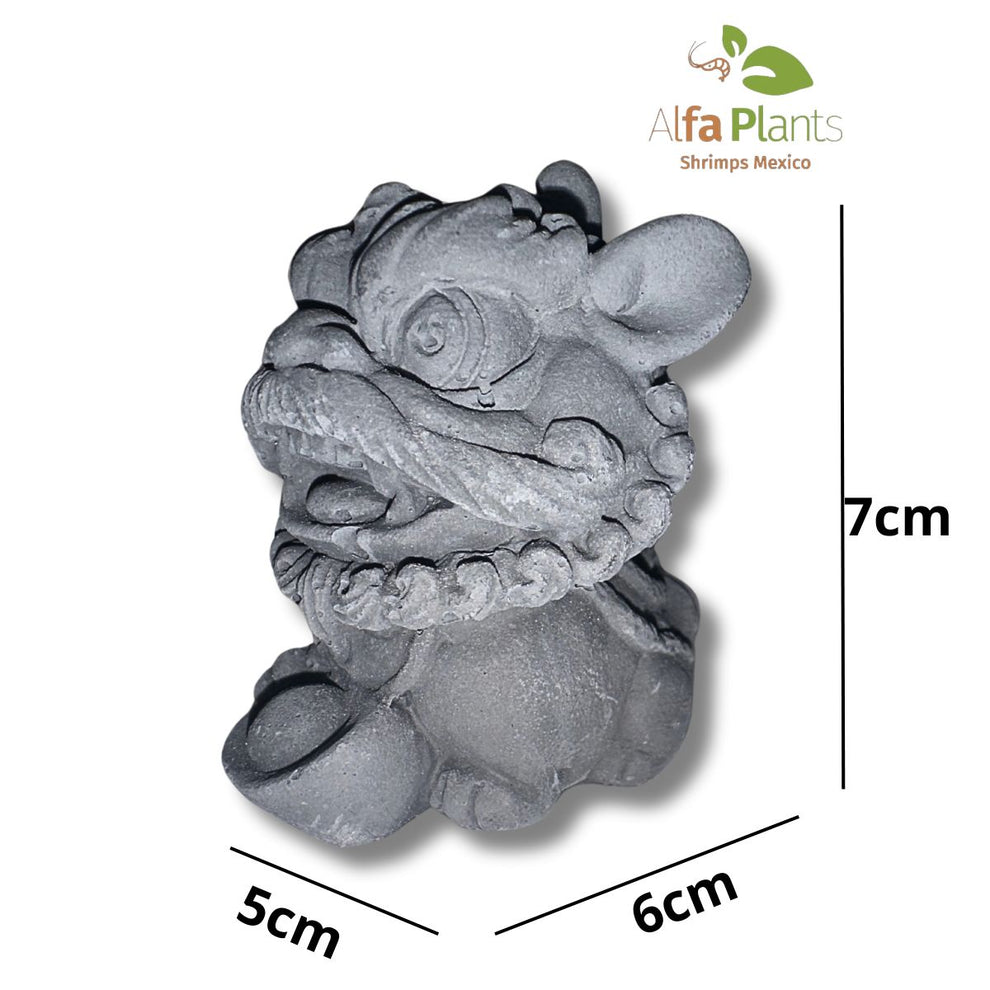 Perritos de piedra – Alfa Plants Shrimps México
