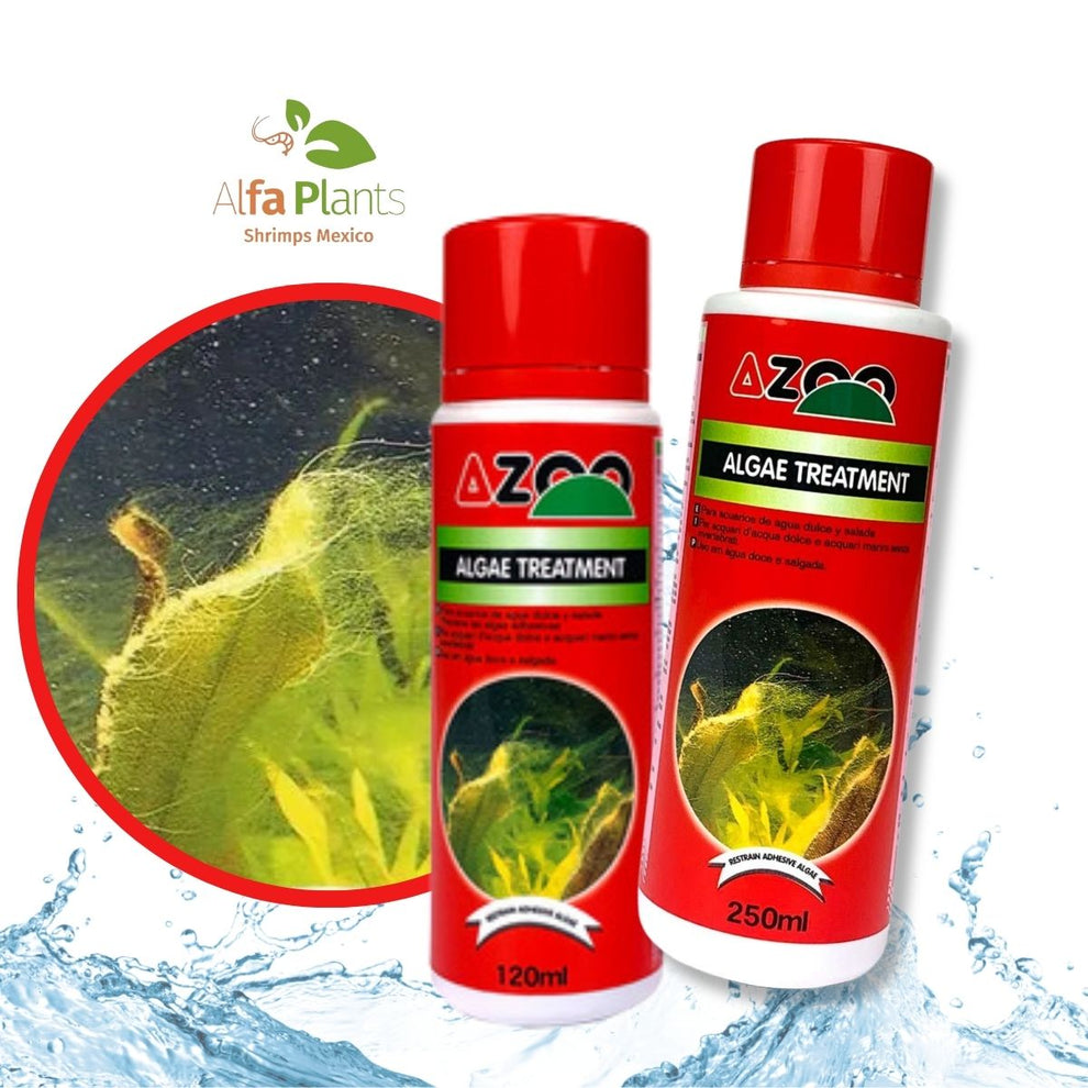 Algae Treatment Azoo – Alfa Plants Shrimps México