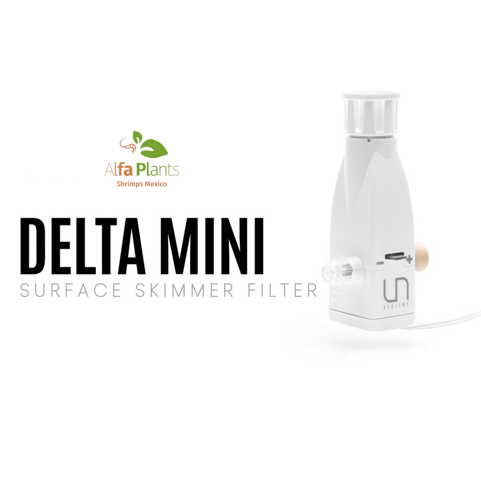 Delta Mini Ultum Nature Systems – Alfa Plants Shrimps México