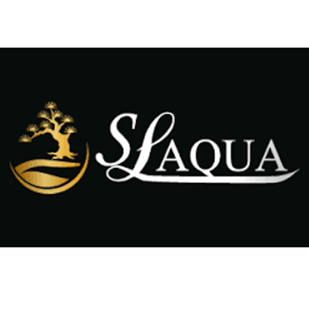 Alfa Plants Shrimps México